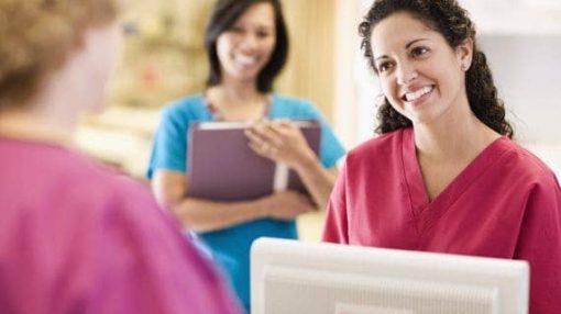 Australian College Of Veterinary Nursing | ACVN | How To Get A Job As A ...