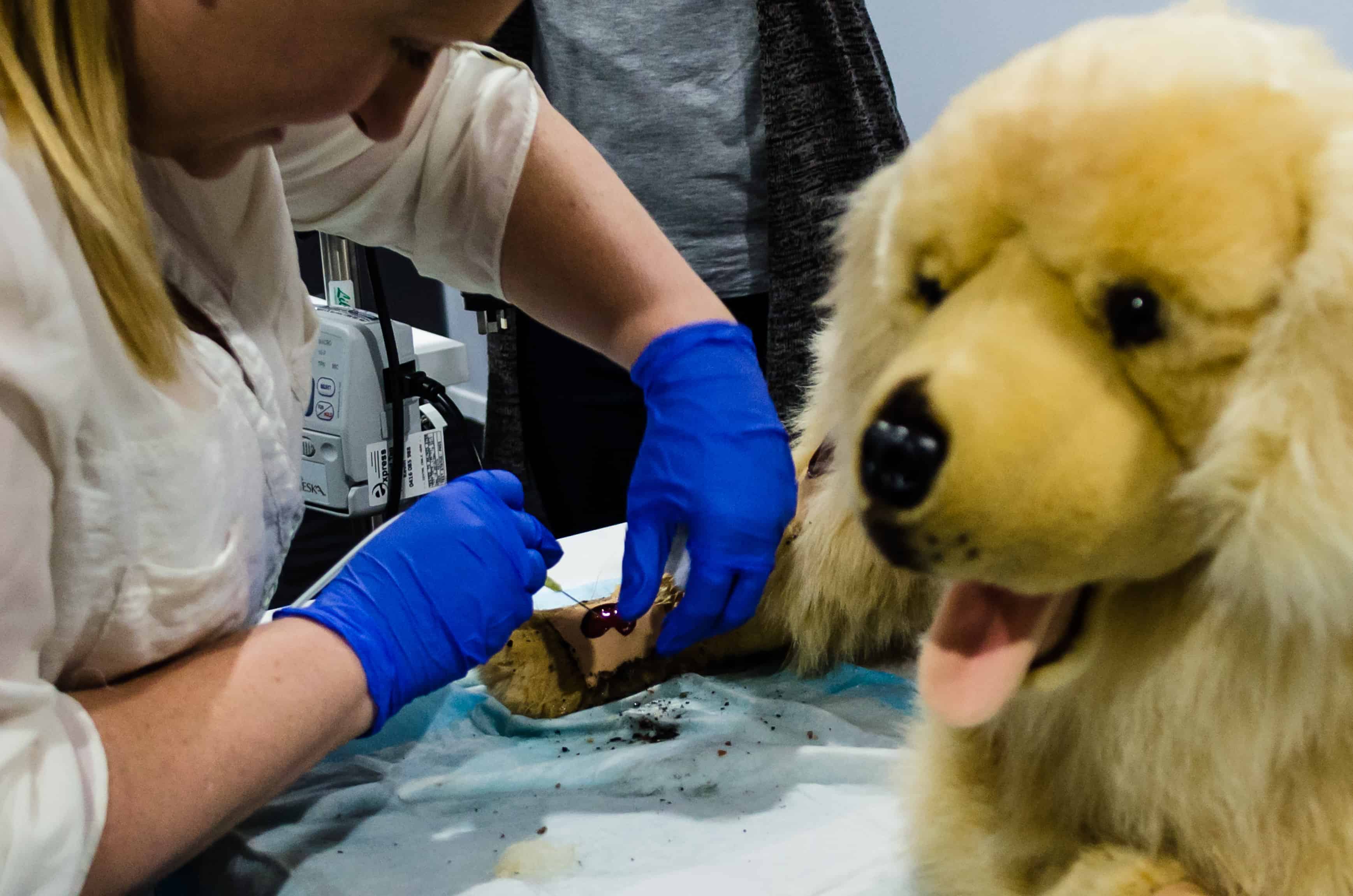 Products Archive - Australian College of Veterinary Nursing