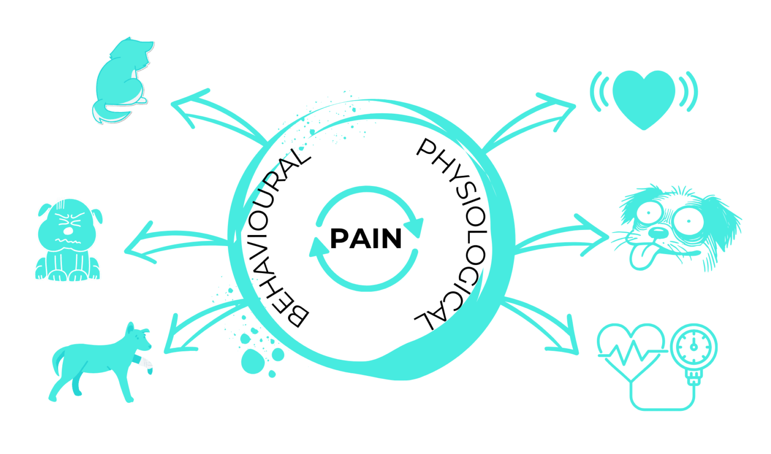 Pain Assessment in Veterinary Patients: Why It Matters and How to Do It ...