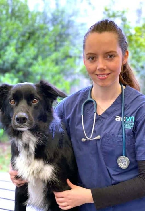ACVN Student Named as VNCA’s Student Vet Nurse of the Year 2020 ...