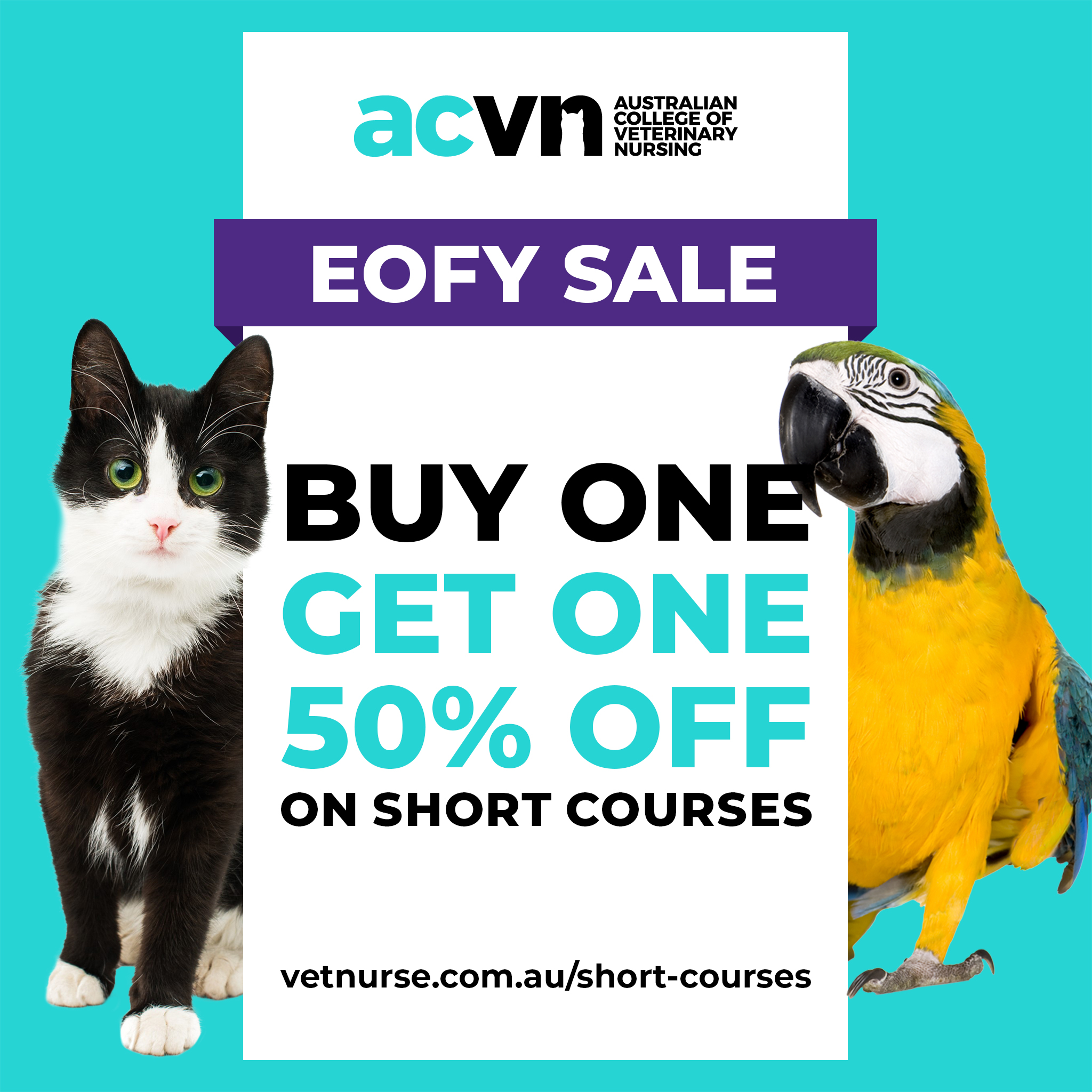 Short Courses - Veterinary Nursing