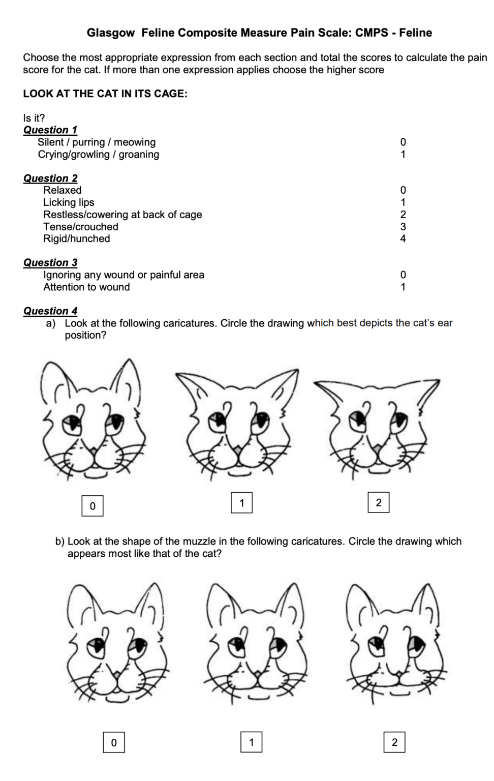 Pain Assessment in Veterinary Patients: Why It Matters and How to Do It ...