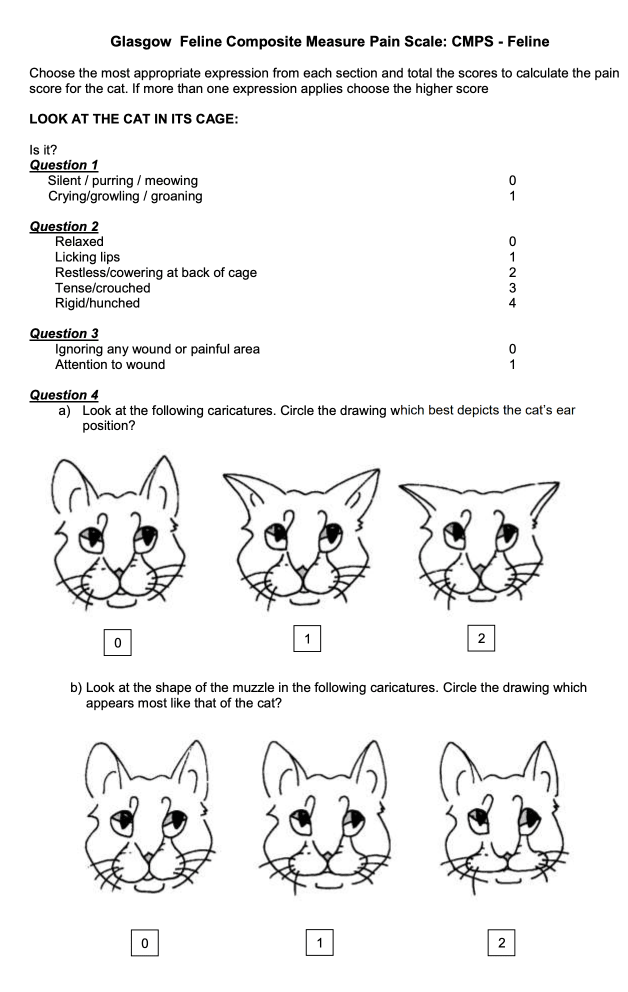 Pain Assessment in Veterinary Patients: Why It Matters and How to Do It ...