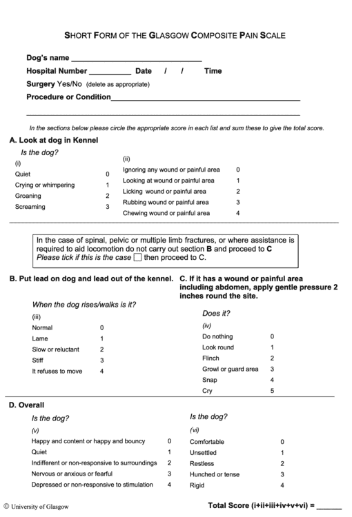 Pain Assessment in Veterinary Patients: Why It Matters and How to Do It ...