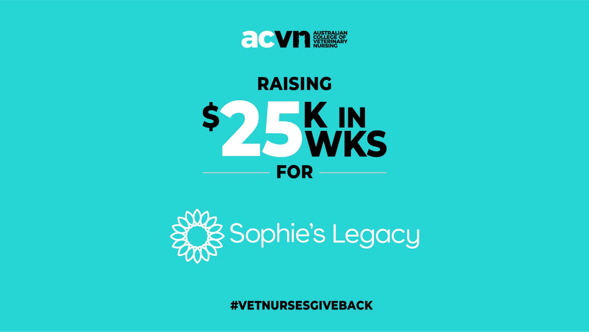 What We Achieved Together: Reflecting on Our Sophie’s Legacy Campaign ...